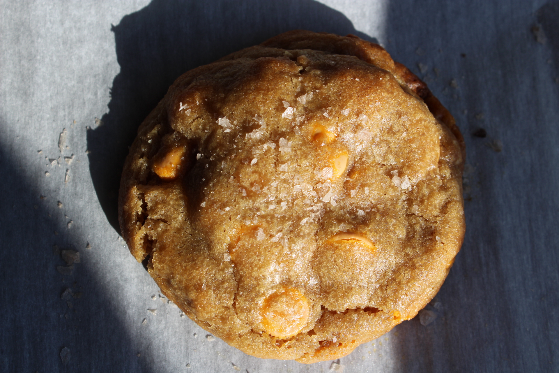 Butterscotch Cookies - Sunshine Texas Cookies